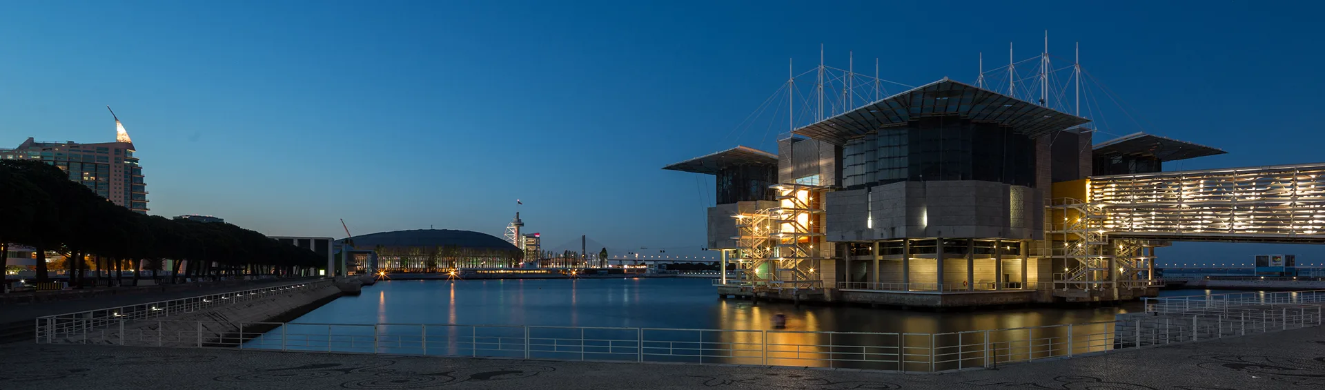 Corporate Governance | Mota-Engil